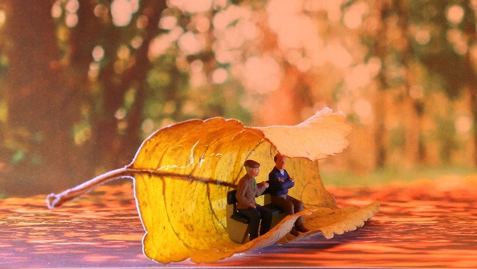 Learning to Love Our Autumn Years - Richmond Public Library